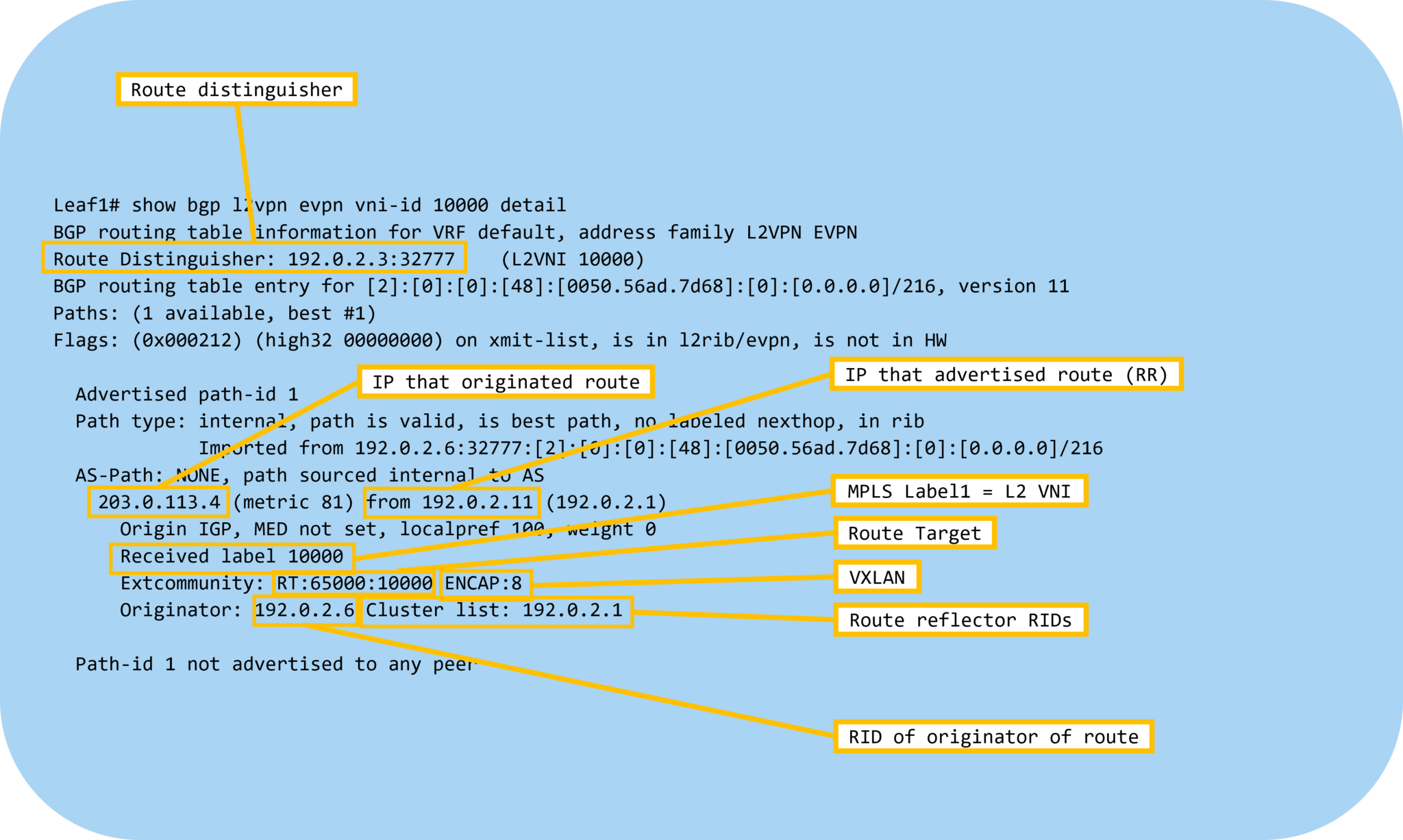 EVPN Deepdive Route Types 2 and 3 – Daniels Networking Blog